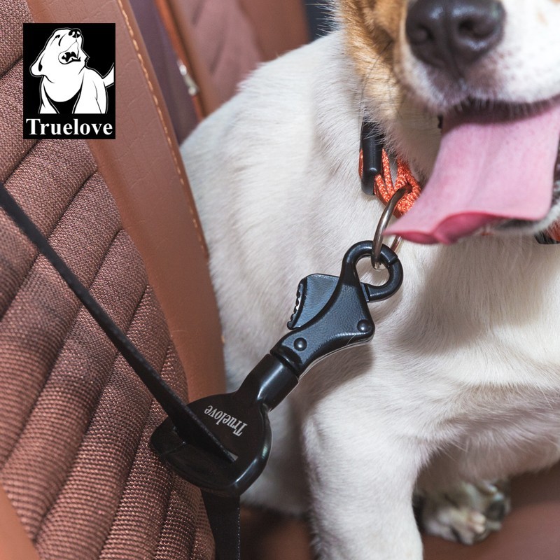Système d'attache chien voiture True Love SECURY ceinture de sécurité